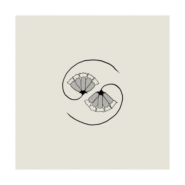 【発売日：2021年04月02日】ご注文後のキャンセル・返品は承れません。発売日:2021年04月02日/商品ID:5170551/ジャンル:ROCK/POP/フォーマット:CD/構成数:1/レーベル:Constellation/アーティス...