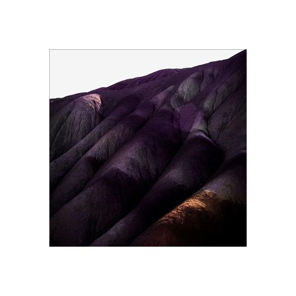 【発売日：2021年06月18日】ご注文後のキャンセル・返品は承れません。発売日:2021年06月18日/商品ID:5173089/ジャンル:ROCK/POP/フォーマット:LP/構成数:1/レーベル:PIAS/アーティスト:Whisper...