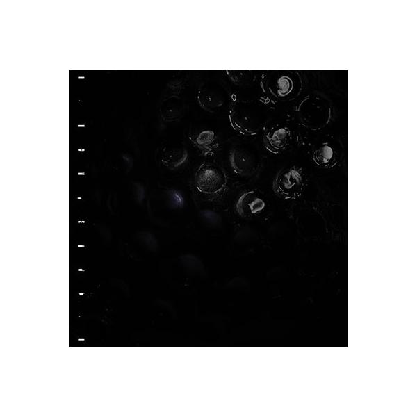 【発売日：2021年05月19日】ご注文後のキャンセル・返品は承れません。発売日:2021年05月19日/商品ID:5179365/ジャンル:ROCK/POP/フォーマット:LP/構成数:1/レーベル:Crumb Records/アーティス...