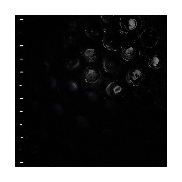 【発売日：2021年04月30日】ご注文後のキャンセル・返品は承れません。発売日:2021年04月30日/商品ID:5179378/ジャンル:ROCK/POP/フォーマット:CD/構成数:1/レーベル:Crumb Records/アーティス...