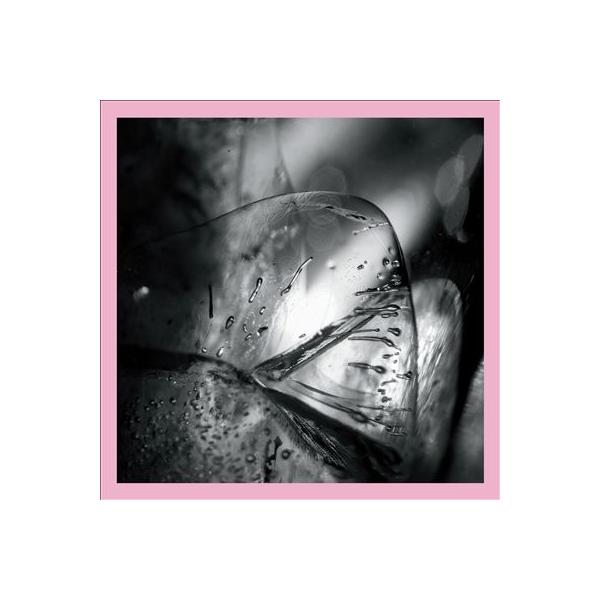 【発売日：2021年05月28日】ご注文後のキャンセル・返品は承れません。発売日:2021年05月28日/商品ID:5185207/ジャンル:JAZZ/フォーマット:CD/構成数:1/レーベル:Kranky/アーティスト:Loscil/アー...