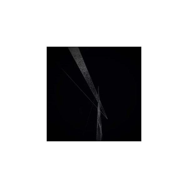 【発売日：2021年06月04日】ご注文後のキャンセル・返品は承れません。発売日:2021年06月04日/商品ID:5193836/ジャンル:ROCK/POP/フォーマット:LP/構成数:1/レーベル:Sentient Ruin Labor...