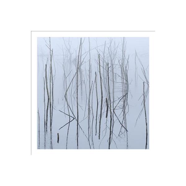 【発売日：2021年07月02日】ご注文後のキャンセル・返品は承れません。発売日:2021年07月02日/商品ID:5199024/ジャンル:ROCK/POP/フォーマット:CD/構成数:1/レーベル:Avantgarde Music/アー...