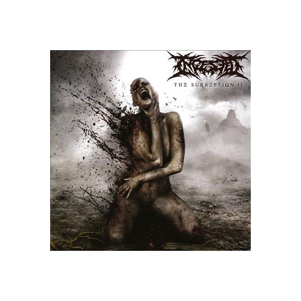 【発売日：2021年07月30日】ご注文後のキャンセル・返品は承れません。発売日:2021年07月30日/商品ID:5205435/ジャンル:ROCK/POP/フォーマット:CD/構成数:1/レーベル:Unique Leader/アーティス...