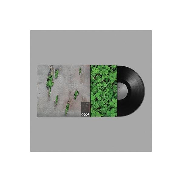 【発売日：2021年07月09日】ご注文後のキャンセル・返品は承れません。発売日:2021年07月09日/商品ID:5206108/ジャンル:SOUL/CLUB/RAP/フォーマット:LP/構成数:1/レーベル:Young/アーティスト:K...