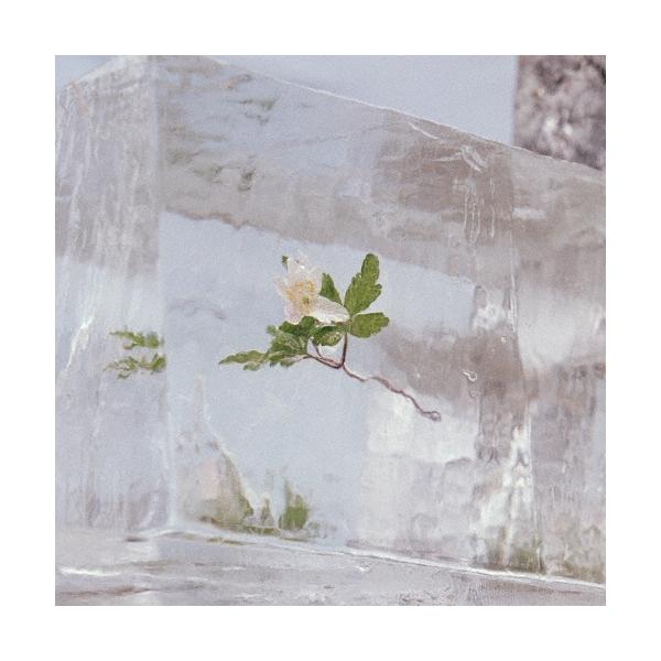 【発売日：2021年10月08日】ご注文後のキャンセル・返品は承れません。発売日:2021年10月08日/商品ID:5216296/ジャンル:ROCK/POP/フォーマット:CD/構成数:1/レーベル:p*dis/アーティスト:Efterk...