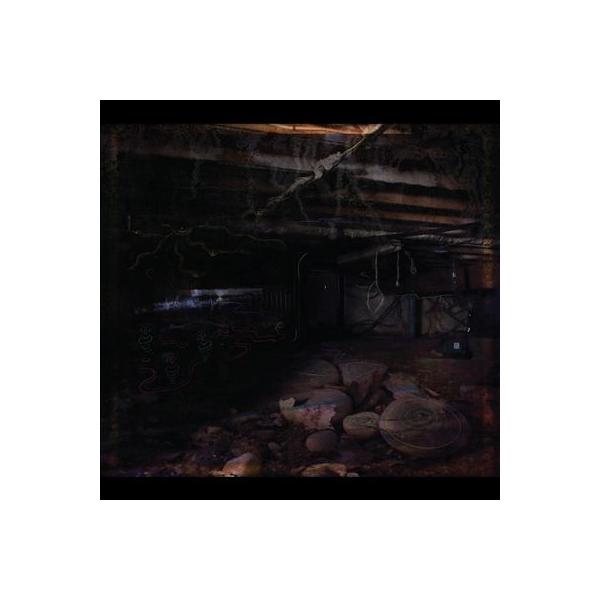 【発売日：2021年08月13日】ご注文後のキャンセル・返品は承れません。発売日:2021年08月13日/商品ID:5217434/ジャンル:JAZZ/フォーマット:CD/構成数:1/レーベル:Tzadik Records/アーティスト:J...