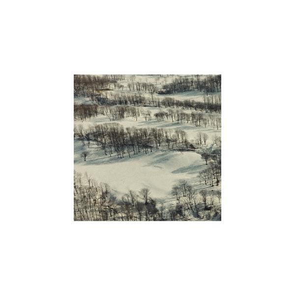 【発売日：2021年07月21日】ご注文後のキャンセル・返品は承れません。発売日:2021年07月21日/商品ID:5221109/ジャンル:JAZZ/フォーマット:CD/構成数:1/レーベル:WIND BELL/アーティスト:トウヤマタケ...