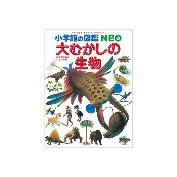 【発売日：2004年11月26日】ご注文後のキャンセル・返品は承れません。発売日:2004年11月26日/商品ID:5221934/ジャンル:DOMESTIC BOOKS/フォーマット:Book/構成数:1/レーベル:小学館/アーティスト:...