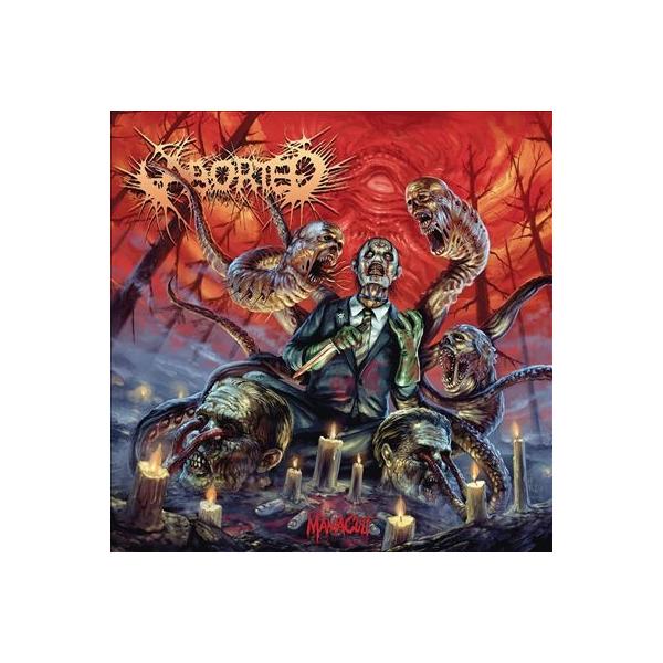 【発売日：2021年09月10日】ご注文後のキャンセル・返品は承れません。発売日:2021年09月10日/商品ID:5225246/ジャンル:ROCK/POP/フォーマット:LP/構成数:2/レーベル:Century Media/アーティス...