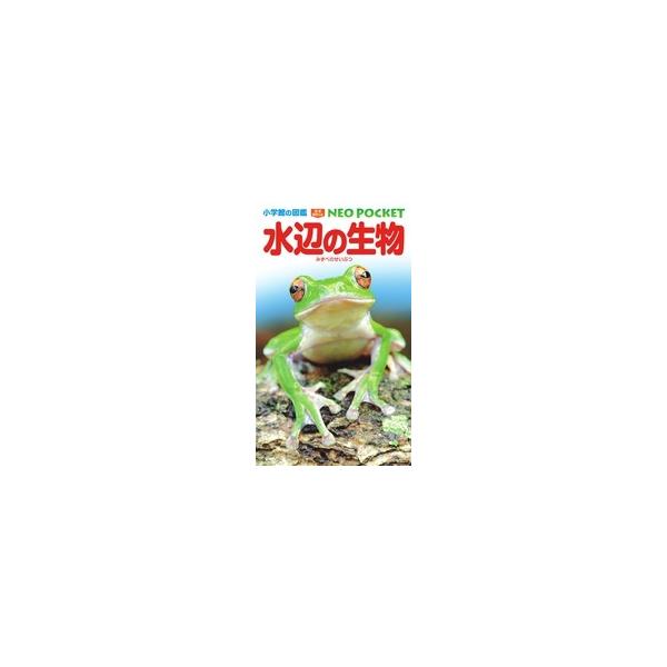 【発売日：2013年06月20日】ご注文後のキャンセル・返品は承れません。発売日:2013年06月20日/商品ID:5228640/ジャンル:DOMESTIC BOOKS/フォーマット:Book/構成数:1/レーベル:小学館/アーティスト:...