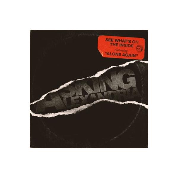 【発売日：2022年03月25日】ご注文後のキャンセル・返品は承れません。発売日:2022年03月25日/商品ID:5243424/ジャンル:ROCK/POP/フォーマット:LP/構成数:1/レーベル:Better Noise Music/...