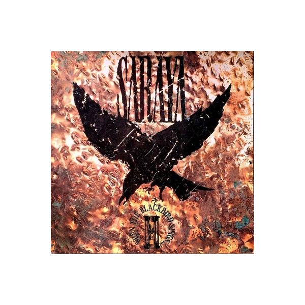 【発売日：2021年10月01日】ご注文後のキャンセル・返品は承れません。発売日:2021年10月01日/商品ID:5245955/ジャンル:ROCK/POP/フォーマット:CD/構成数:1/レーベル:Bad Reputation/アーティ...