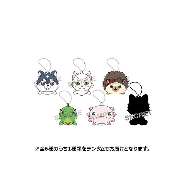 【発売日：2021年11月20日】ご注文後のキャンセル・返品は承れません。発売日:2021年11月20日/商品ID:5251787/ジャンル:グッズ/フォーマット:Accessories/構成数:1/レーベル:i-rights/アーティスト...