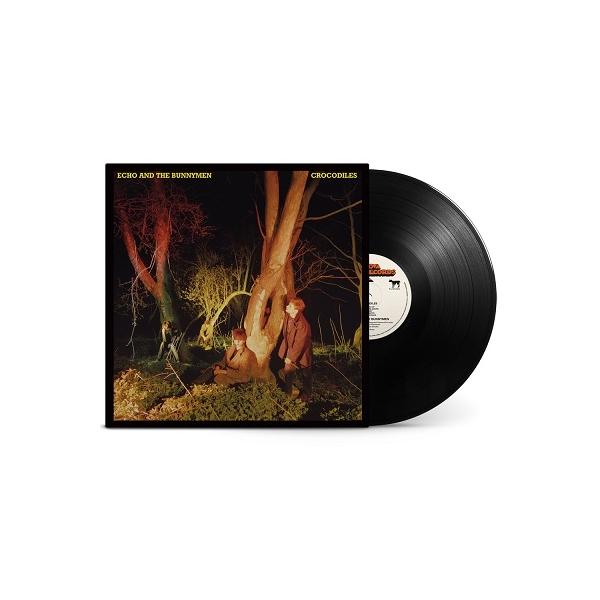 【発売日：2021年10月22日】ご注文後のキャンセル・返品は承れません。発売日:2021年10月22日/商品ID:5254528/ジャンル:ROCK/POP/フォーマット:LP/構成数:1/レーベル:WM UK/アーティスト:Echo &...