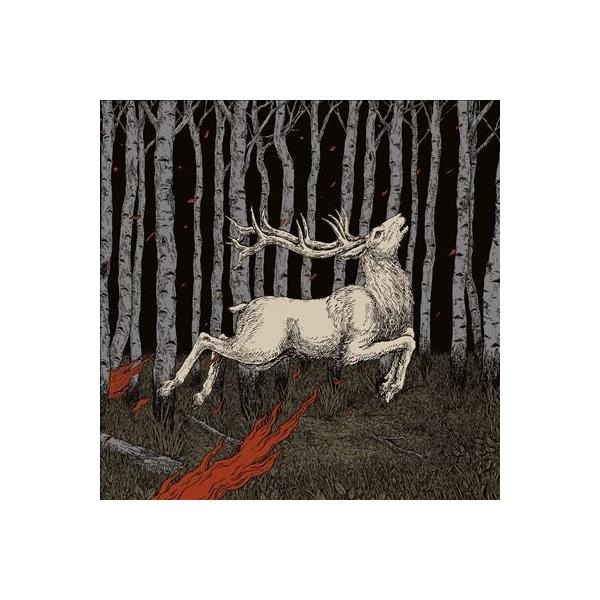 【発売日：2021年11月05日】ご注文後のキャンセル・返品は承れません。発売日:2021年11月05日/商品ID:5257140/ジャンル:ROCK/POP/フォーマット:CD/構成数:1/レーベル:Avantgarde Music/アー...