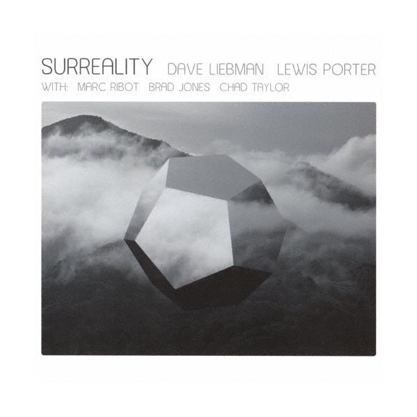 【発売日：2021年11月17日】ご注文後のキャンセル・返品は承れません。発売日:2021年11月17日/商品ID:5257901/ジャンル:JAZZ/フォーマット:CD/構成数:1/レーベル:Solid/Enja/アーティスト:Dave ...