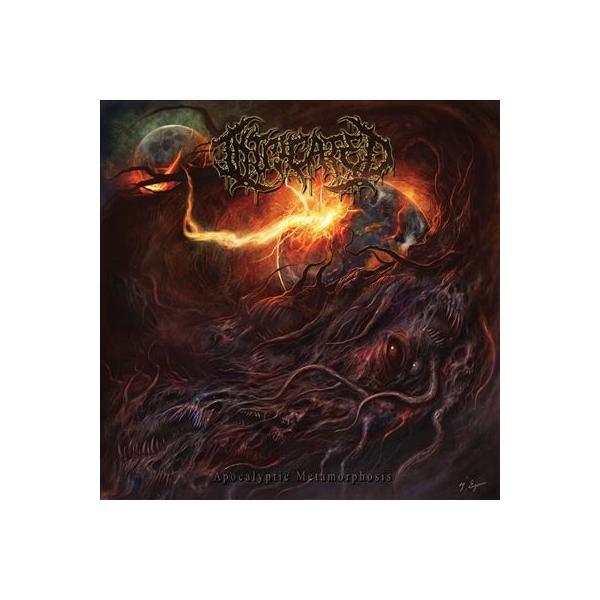 【発売日：2021年12月10日】ご注文後のキャンセル・返品は承れません。発売日:2021年12月10日/商品ID:5271015/ジャンル:ROCK/POP/フォーマット:CD/構成数:1/レーベル:Comatose/アーティスト:Int...