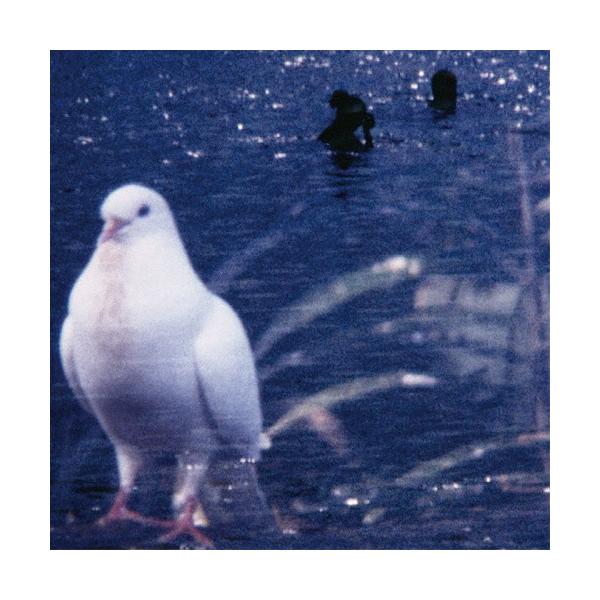 【発売日：2021年12月08日】ご注文後のキャンセル・返品は承れません。発売日:2021年12月08日/商品ID:5272667/ジャンル:J-POP/フォーマット:CD/構成数:1/レーベル:CHORDIARY/アーティスト:青柳拓次/...