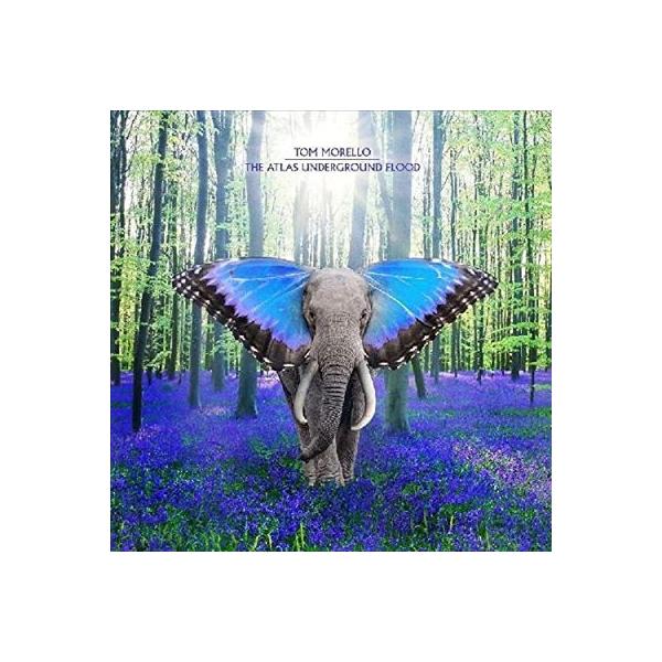 【発売日：2022年05月13日】ご注文後のキャンセル・返品は承れません。発売日:2022年05月下旬/商品ID:5290054/ジャンル:ROCK/POP/フォーマット:LP/構成数:2/レーベル:Mom + Pop Music/アーティ...