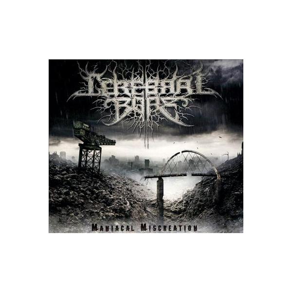 【発売日：2025年02月26日】ご注文後のキャンセル・返品は承れません。発売日:2025年02月26日/商品ID:5304202/ジャンル:ROCK/POP/フォーマット:CD/構成数:1/レーベル:VMG/アーティスト:Cerebral...