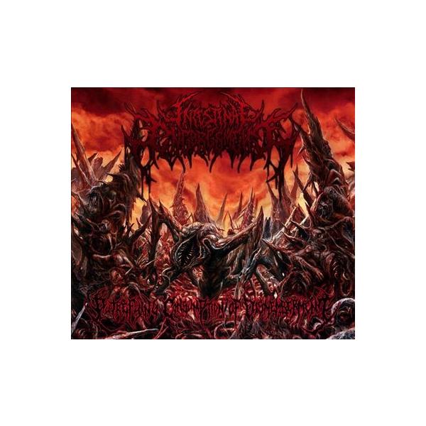 【発売日：2022年02月04日】ご注文後のキャンセル・返品は承れません。発売日:2022年02月04日/商品ID:5309534/ジャンル:ROCK/POP/フォーマット:CD/構成数:1/レーベル:Amputated Vein Reco...