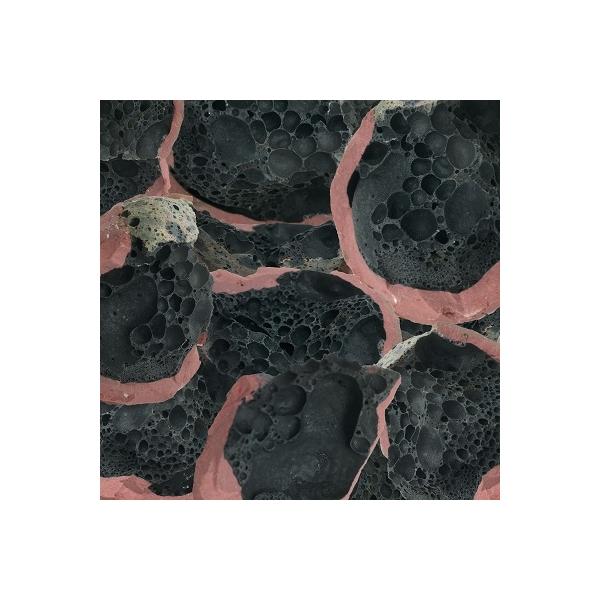 【発売日：2022年02月18日】ご注文後のキャンセル・返品は承れません。発売日:2022年02月18日/商品ID:5312089/ジャンル:ROCK/POP/フォーマット:CD/構成数:1/レーベル:Constellation/アーティス...