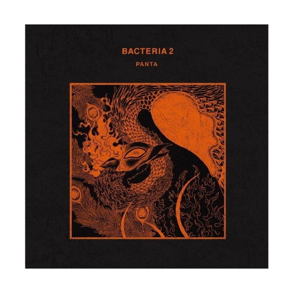 【発売日：2022年03月01日】ご注文後のキャンセル・返品は承れません。発売日:2022年03月01日/商品ID:5313412/ジャンル:J-POP/フォーマット:CD/構成数:1/レーベル:ROCKET PUNCH LLC./アーティ...