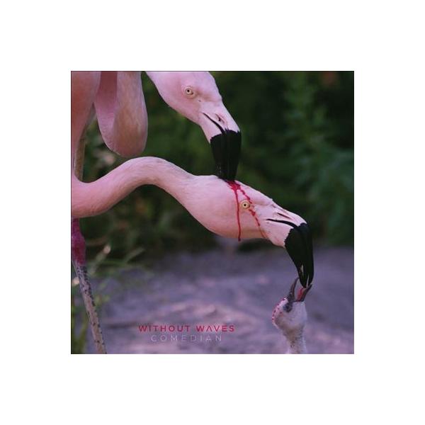 【発売日：2022年03月18日】ご注文後のキャンセル・返品は承れません。発売日:2022年03月18日/商品ID:5322050/ジャンル:ROCK/POP/フォーマット:CD/構成数:1/レーベル:Prosthetic/アーティスト:W...