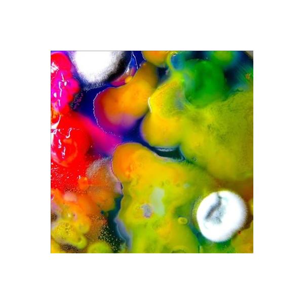 【発売日：2022年03月25日】ご注文後のキャンセル・返品は承れません。発売日:2022年03月25日/商品ID:5323326/ジャンル:ROCK/POP/フォーマット:CD/構成数:1/レーベル:Sub Pop/アーティスト:Guer...