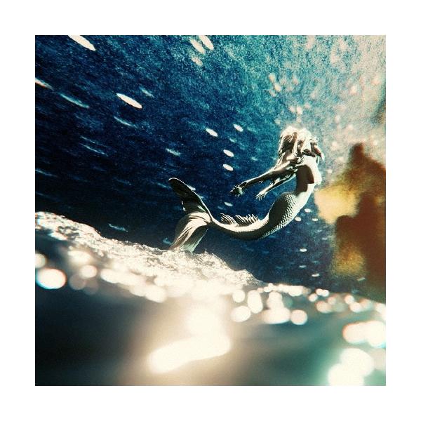 【発売日：2022年03月09日】ご注文後のキャンセル・返品は承れません。発売日:2022年03月09日/商品ID:5328854/ジャンル:J-POP/フォーマット:CD/構成数:1/レーベル:PaperCloud/アーティスト:Pape...