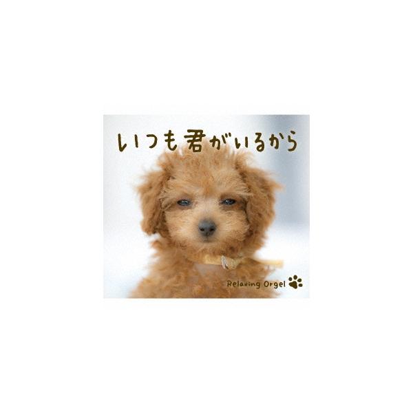 【発売日：2022年03月25日】ご注文後のキャンセル・返品は承れません。発売日:2022年03月25日/商品ID:5360237/ジャンル:JAZZ/フォーマット:CD/構成数:1/レーベル:Della/タイトル:いつも君がいるから/タイ...