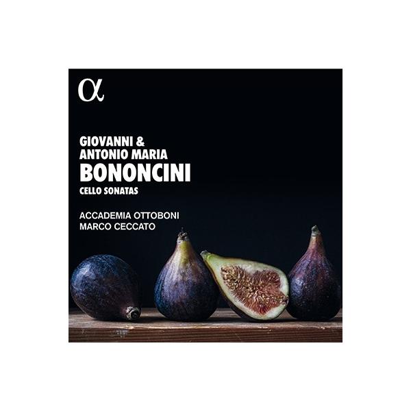 【発売日：2022年05月13日】ご注文後のキャンセル・返品は承れません。発売日:2022年05月13日/商品ID:5371030/ジャンル:CLASSICAL/フォーマット:CD/構成数:1/レーベル:Alpha/アーティスト:マルコ・チ...