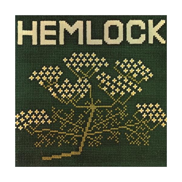 【発売日：2023年03月29日】ご注文後のキャンセル・返品は承れません。発売日:2023年03月29日/商品ID:5383925/ジャンル:ROCK/POP/フォーマット:CD/構成数:1/レーベル:WASABI RECORDS/アーティ...