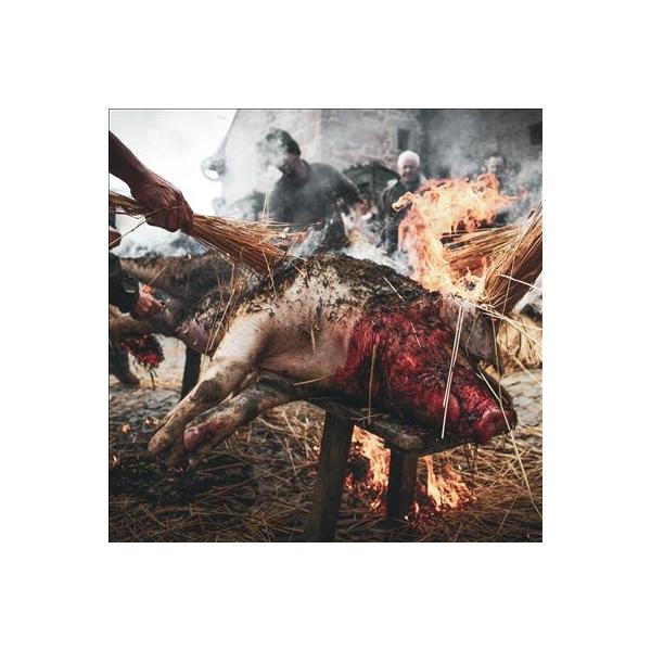 【発売日：2022年07月01日】ご注文後のキャンセル・返品は承れません。発売日:2022年07月01日/商品ID:5439446/ジャンル:ROCK/POP/フォーマット:CD/構成数:1/レーベル:Selfmadegod Records...