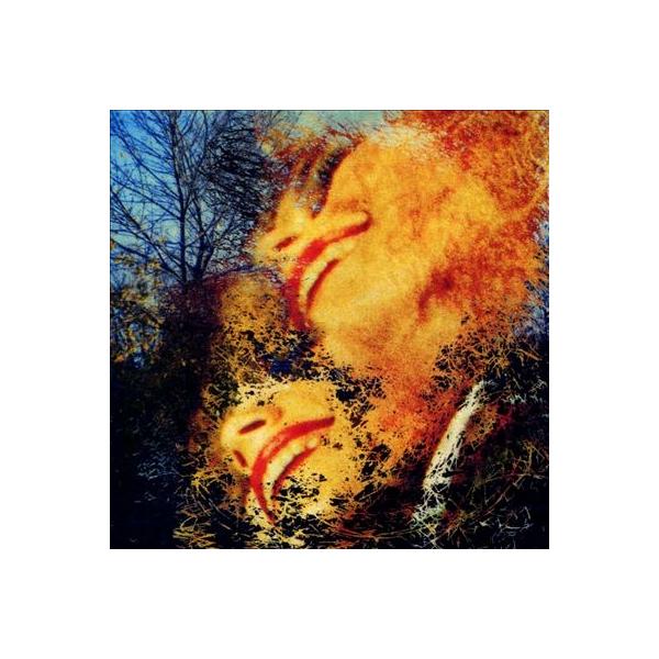 【発売日：2022年07月15日】ご注文後のキャンセル・返品は承れません。発売日:2022年07月15日/商品ID:5448366/ジャンル:ROCK/POP/フォーマット:CD/構成数:1/レーベル:Tenor Vossa/アーティスト:...