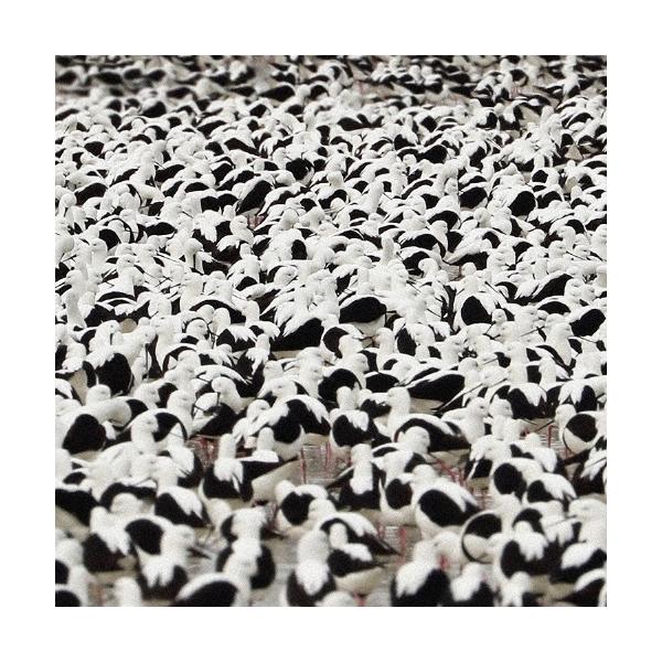 【発売日：2022年08月26日】ご注文後のキャンセル・返品は承れません。発売日:2022年08月26日/商品ID:5457343/ジャンル:ROCK/POP/フォーマット:CD/構成数:1/レーベル:Secretly Canadian/ア...