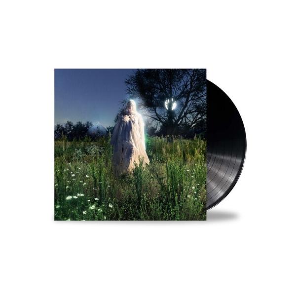 【発売日：2022年11月04日】ご注文後のキャンセル・返品は承れません。発売日:2022年11月04日/商品ID:5484106/ジャンル:ROCK/POP/フォーマット:LP/構成数:1/レーベル:RCA/アーティスト:Noah Cyr...