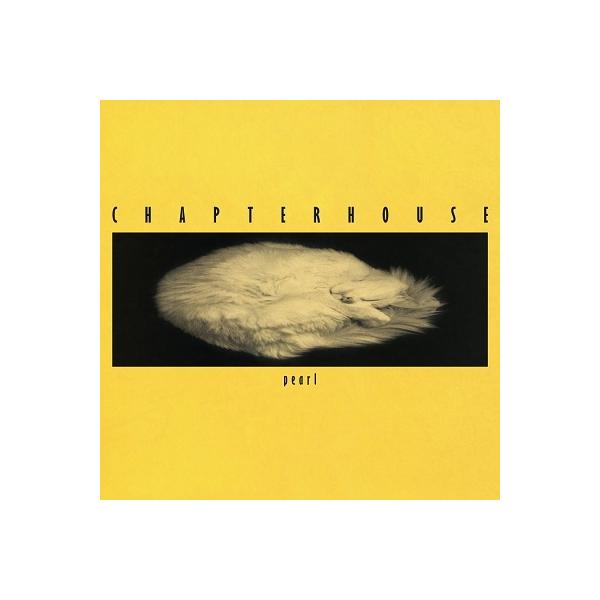 【発売日：2022年08月05日】ご注文後のキャンセル・返品は承れません。発売日:2022年08月05日/商品ID:5485191/ジャンル:ROCK/POP/フォーマット:12inch Single/構成数:1/レーベル:Music On...