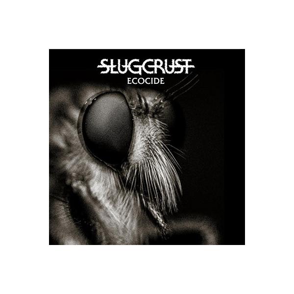 【発売日：2022年09月09日】ご注文後のキャンセル・返品は承れません。発売日:2022年09月09日/商品ID:5486286/ジャンル:ROCK/POP/フォーマット:CD/構成数:1/レーベル:Prosthetic Records/...