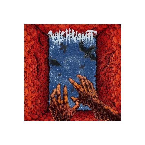 【発売日：2022年08月05日】ご注文後のキャンセル・返品は承れません。発売日:2022年08月05日/商品ID:5493200/ジャンル:ROCK/POP/フォーマット:LP/構成数:1/レーベル:20 Buck Spin/アーティスト...