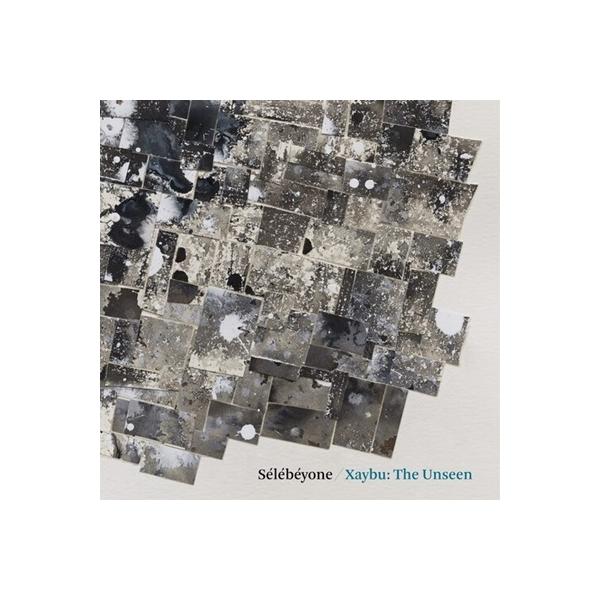 【発売日：2022年08月26日】ご注文後のキャンセル・返品は承れません。発売日:2022年08月26日/商品ID:5500149/ジャンル:JAZZ/フォーマット:LP/構成数:1/レーベル:Pi Recordings/アーティスト:St...