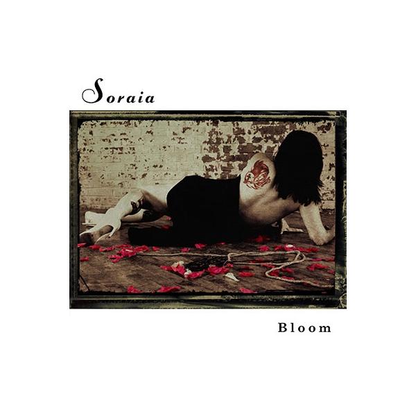 【発売日：2022年10月28日】ご注文後のキャンセル・返品は承れません。発売日:2022年10月28日/商品ID:5516473/ジャンル:ROCK/POP/フォーマット:CD/構成数:1/レーベル:Wicked Cool/アーティスト:...