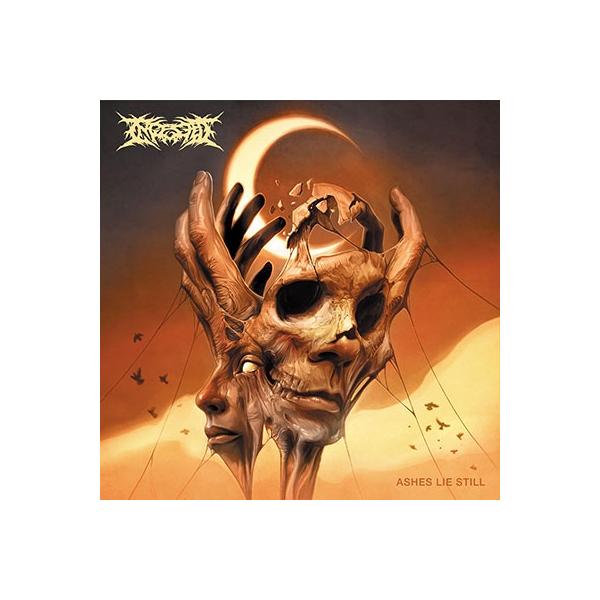 【発売日：2023年02月24日】ご注文後のキャンセル・返品は承れません。発売日:2023年02月24日/商品ID:5520829/ジャンル:ROCK/POP/フォーマット:CD/構成数:1/レーベル:Metal Blade Records...