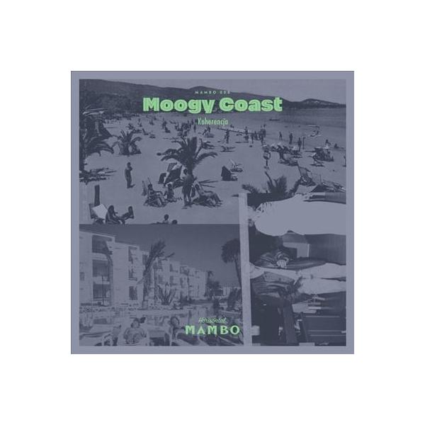 【発売日：2022年09月16日】ご注文後のキャンセル・返品は承れません。発売日:2022年09月16日/商品ID:5521388/ジャンル:SOUL/CLUB/RAP/フォーマット:LP/構成数:1/レーベル:Horisontal Mam...