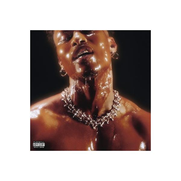 【発売日：2022年11月11日】ご注文後のキャンセル・返品は承れません。発売日:2022年11月11日/商品ID:5537600/ジャンル:SOUL/CLUB/RAP/フォーマット:LP/構成数:2/レーベル:Keep Cool/RCA ...