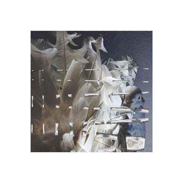 【発売日：2022年12月15日】ご注文後のキャンセル・返品は承れません。発売日:2022年12月15日/商品ID:5560633/ジャンル:JAZZ/フォーマット:CD/構成数:6/レーベル:スローダウンRECORDS/アーティスト:Me...