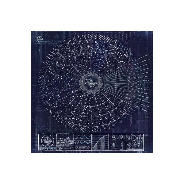 【発売日：2022年11月04日】ご注文後のキャンセル・返品は承れません。発売日:2022年11月04日/商品ID:5561385/ジャンル:ROCK/POP/フォーマット:LP/構成数:1/レーベル:Universal Import/アー...