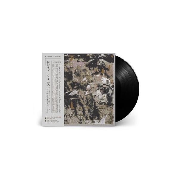 【発売日：2022年10月31日】ご注文後のキャンセル・返品は承れません。発売日:2022年10月下旬/商品ID:5575435/ジャンル:SOUL/CLUB/RAP/フォーマット:LP/構成数:1/レーベル:Phantom Limb/アー...