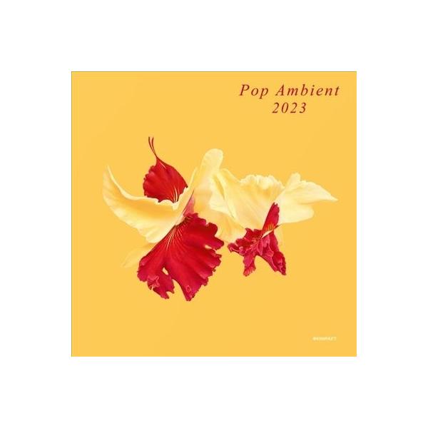 【発売日：2023年01月05日】ご注文後のキャンセル・返品は承れません。発売日:2023年01月05日/商品ID:5575794/ジャンル:SOUL/CLUB/RAP/フォーマット:LP/構成数:1/レーベル:Kompakt/タイトル:P...